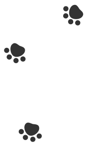 ASCK - 獣医師のためのオンライン動画学習サービス